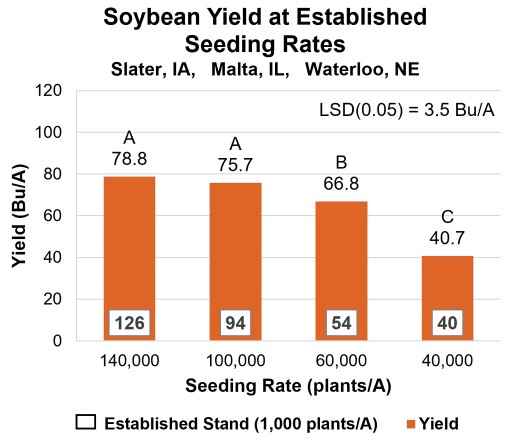 Golden Harvest | Replanting Strategies for Soybeans