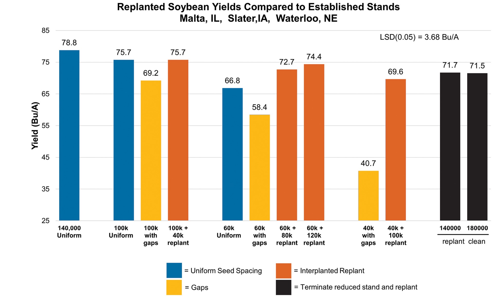 Golden Harvest | Replanting Strategies for Soybeans