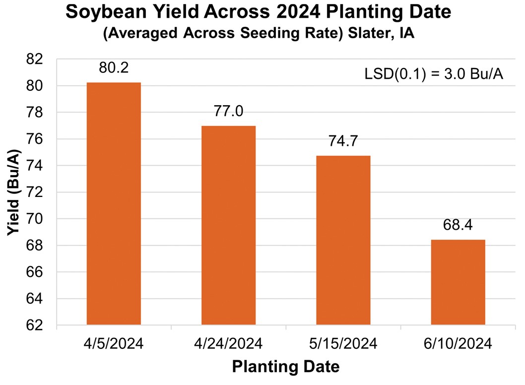 Golden Harvest | Replanting Strategies for Soybeans