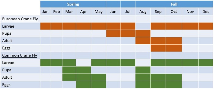 | GreenCast | Syngenta