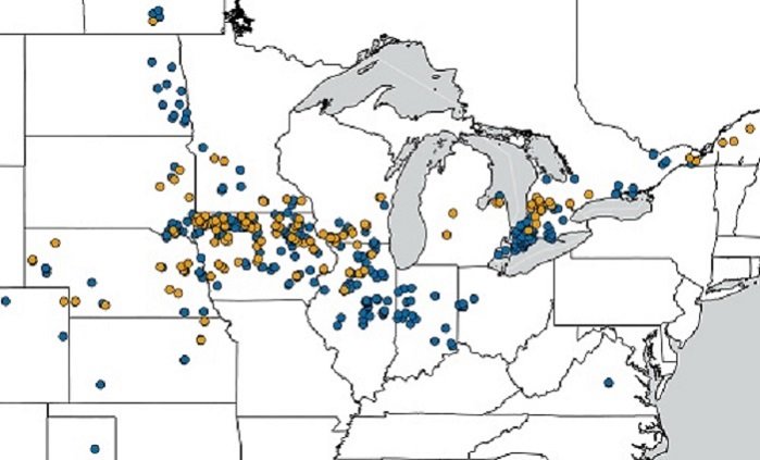 Golden Harvest | Regional Corn Rootworm Monitoring Network | Golden Harvest