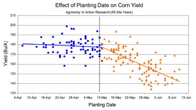 Golden Harvest | When to Switch To Early Maturity Corn Hybrids | Golden ...