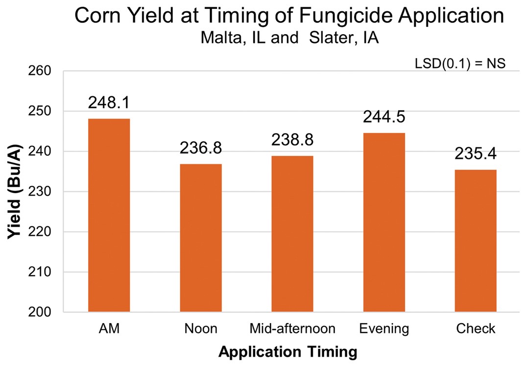 Golden Harvest | Utilizing Microbes to Accelerate Corn Residue ...