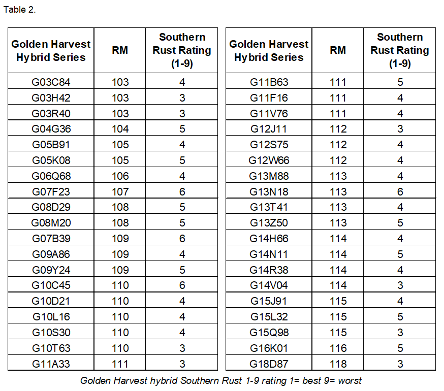 Golden Harvest | Southern & Common Rust In Corn