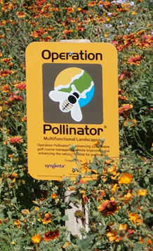 Operation Pollinator: Make an impact on your community and the ...