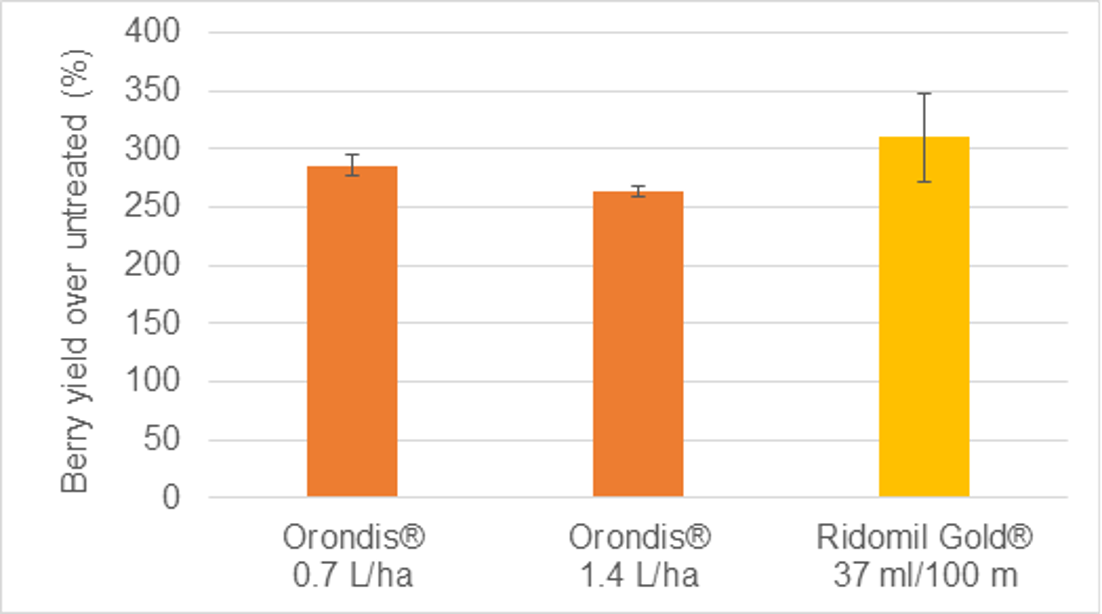 Phytophthora root rot in berries | Agronomy hub