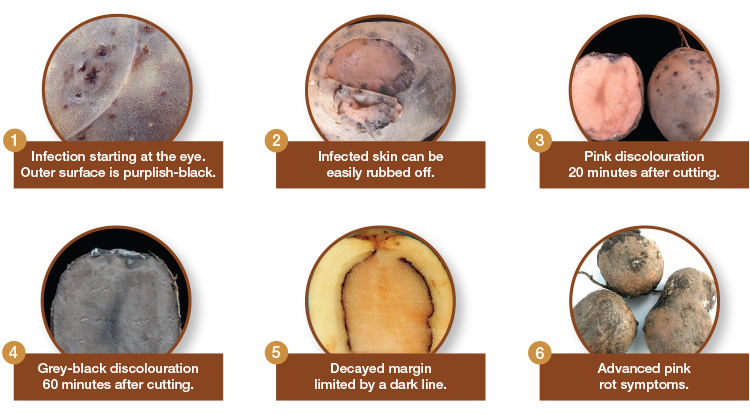 Trouble with storage and quality?