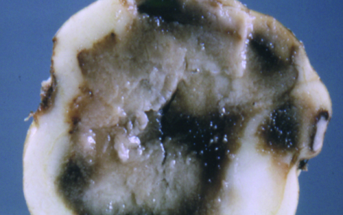 Trouble with storage and quality? | Agronomy hub