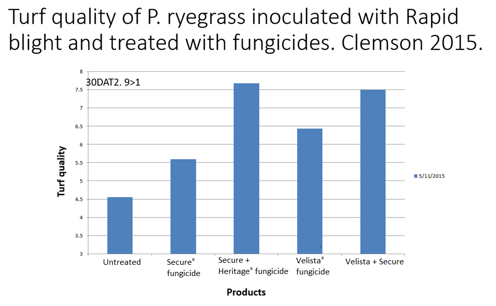 Quick guide: Manage anthracnose and rapid blight on Poa annua greens ...