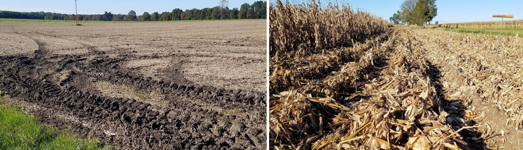 Soil Compaction and Spring Field Management | Golden Harvest