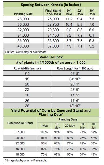 Replanting Guidelines for Corn