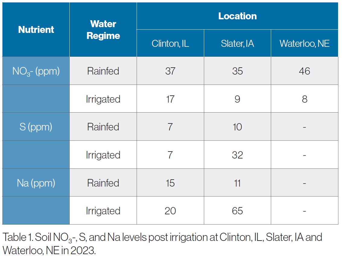 Early Maturity Corn Hybrids and When to Switch | Golden Harvest