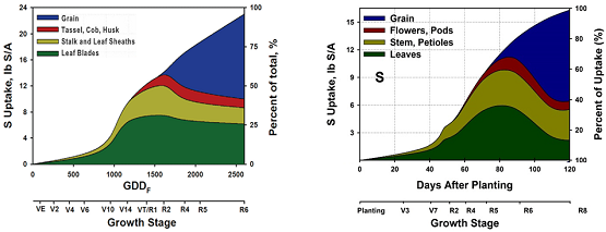 Golden Harvest | Sulfur Application and Nutrient Management Guidelines