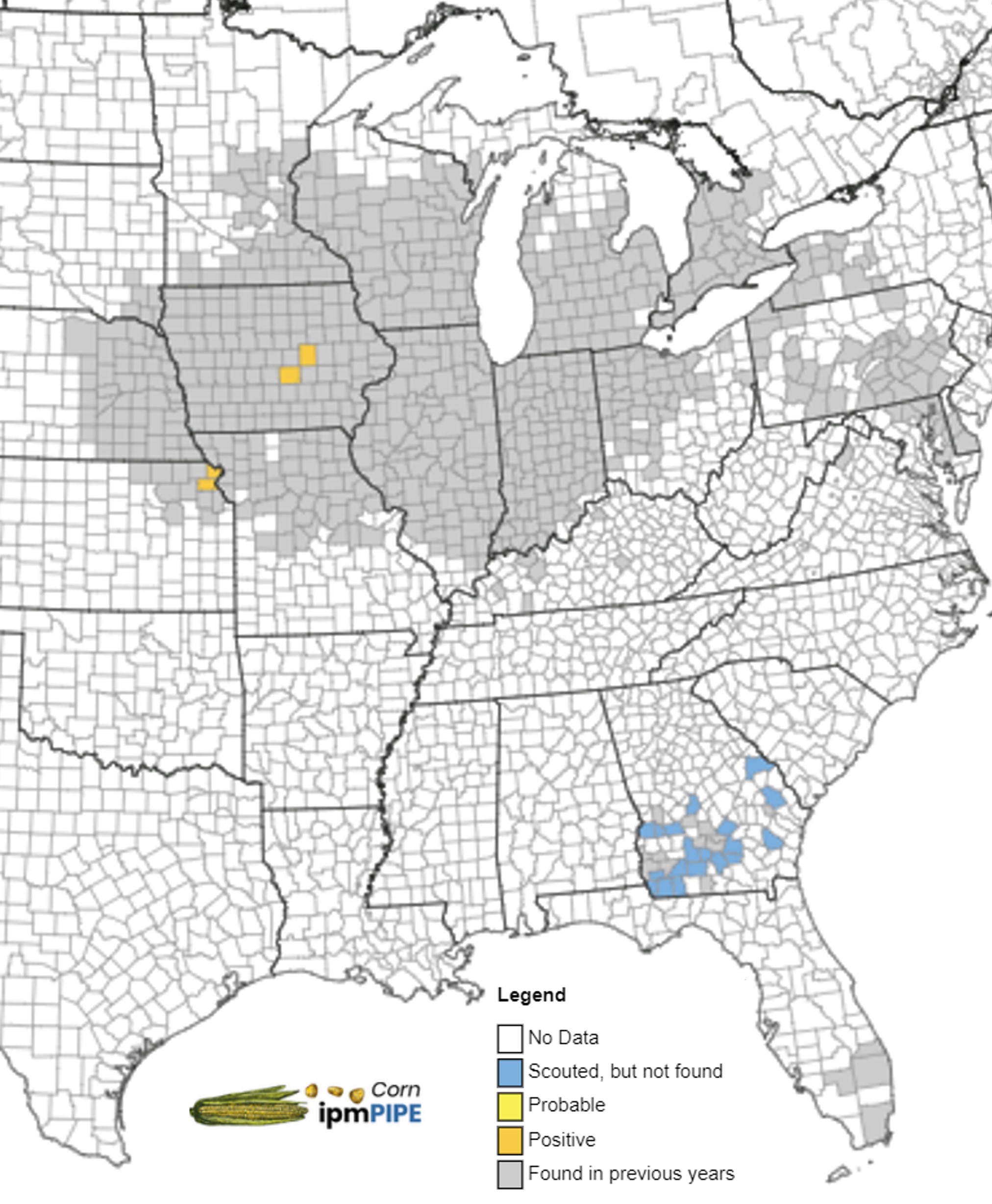 Golden Harvest | Managing Tar Spot with Genetics and Fungicide