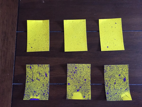 | Professional Pest Management | Syngenta