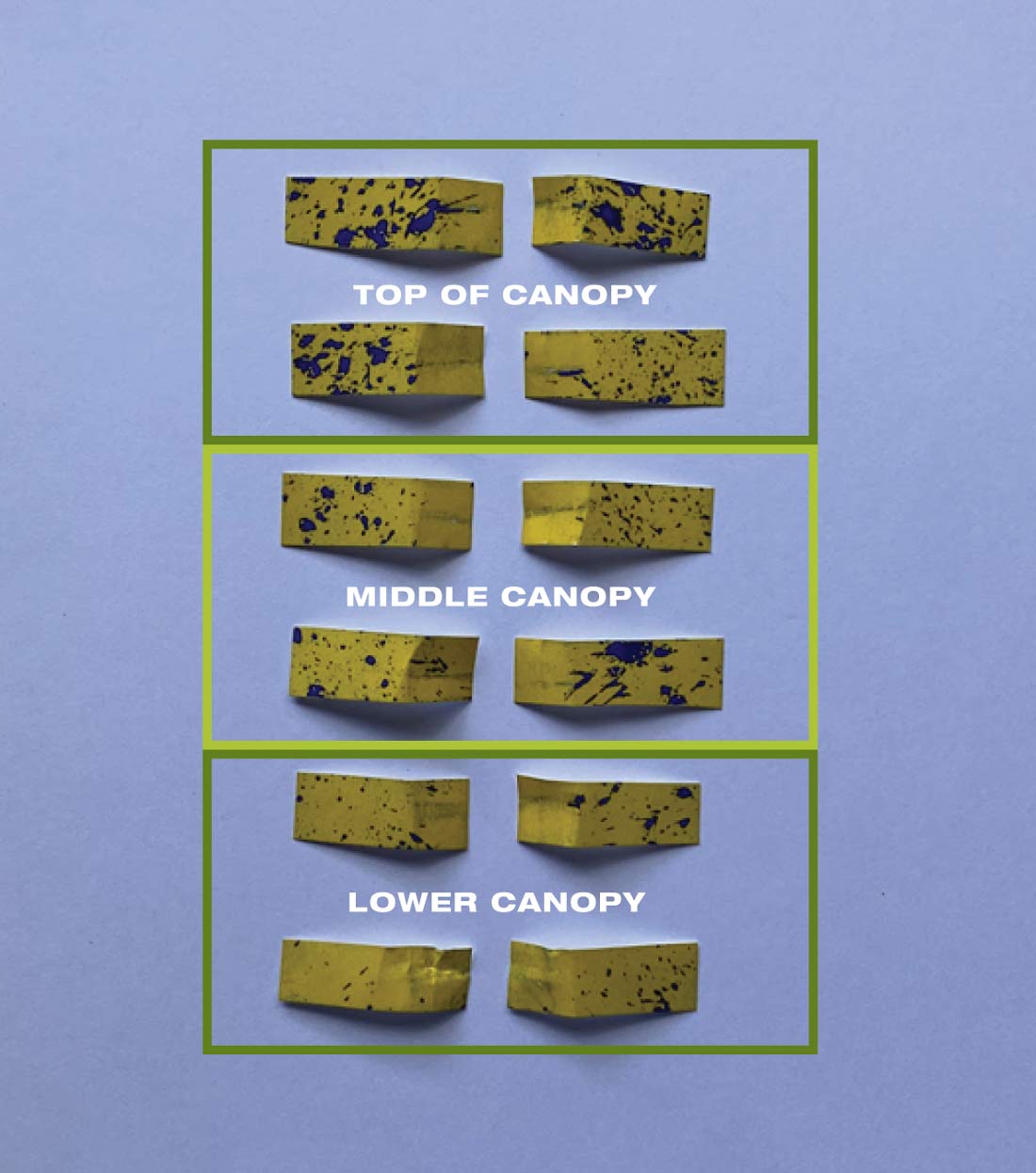 Is your lentil fungicide where it needs to be? | Agronomy hub