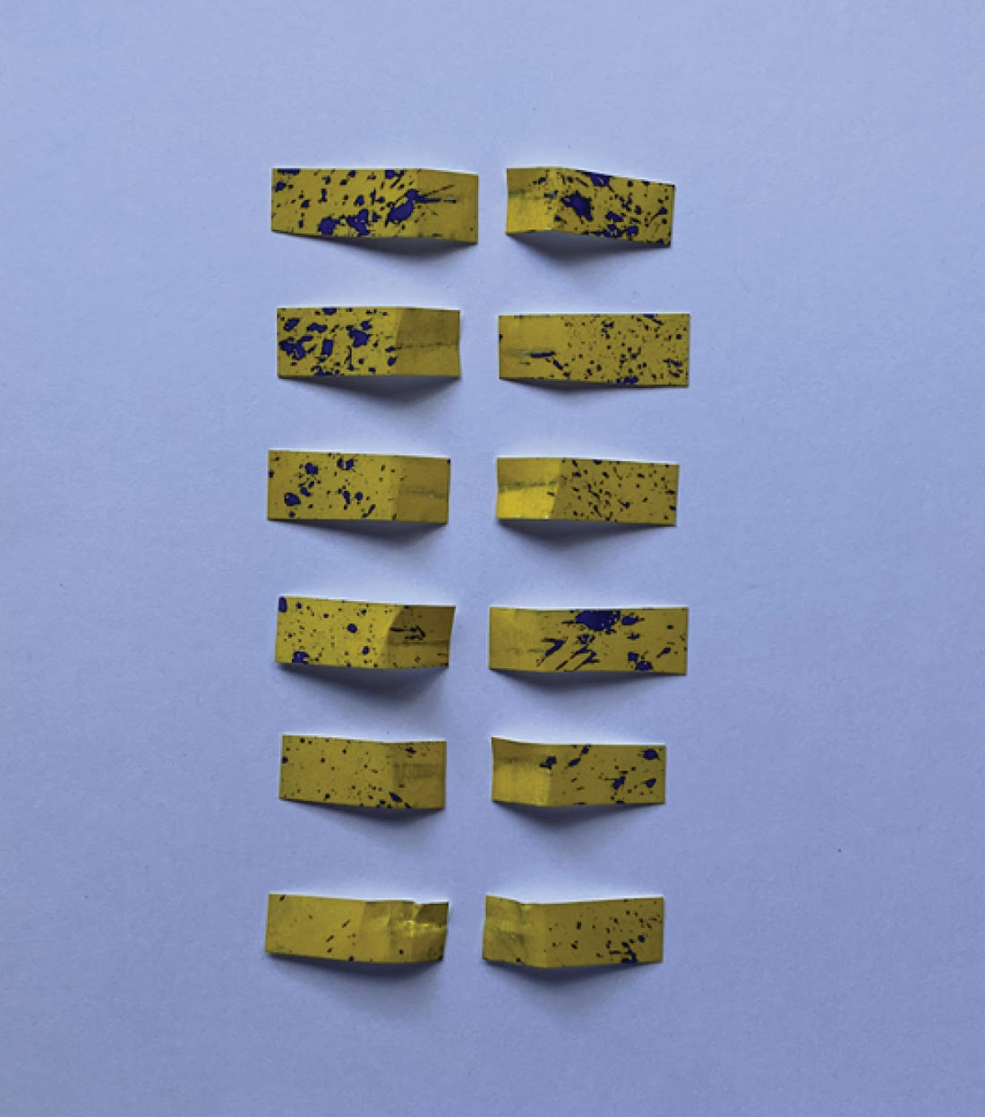 Is your lentil fungicide where it needs to be? | Agronomy hub
