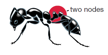 | Professional Pest Management | Syngenta