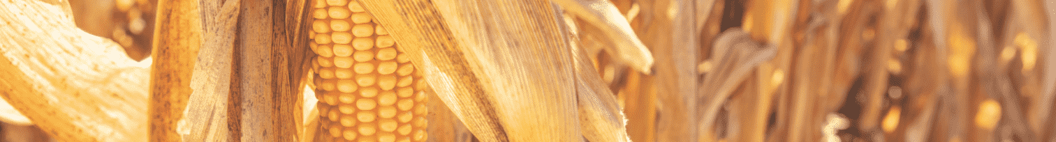 New Product Lineup Helps Corn and Soybean Farmers Optimize Every Acre ...