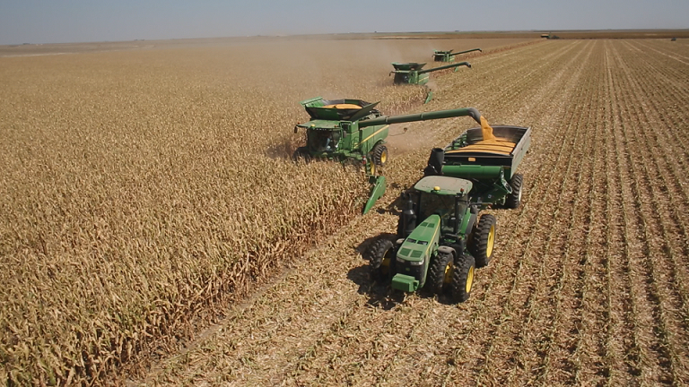 Golden Harvest | Golden Harvest® portfolio grows with 46 new corn ...