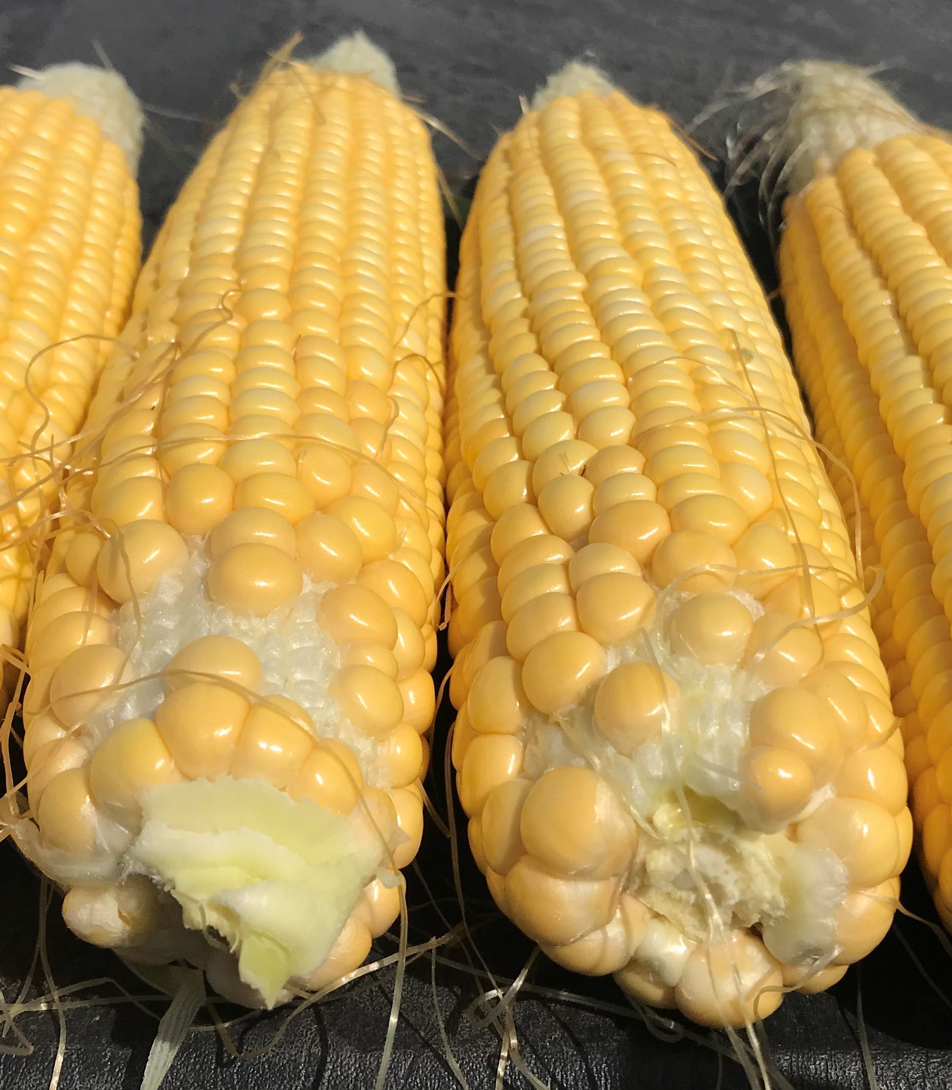 Golden Harvest | Abnormal Ear Development in Corn