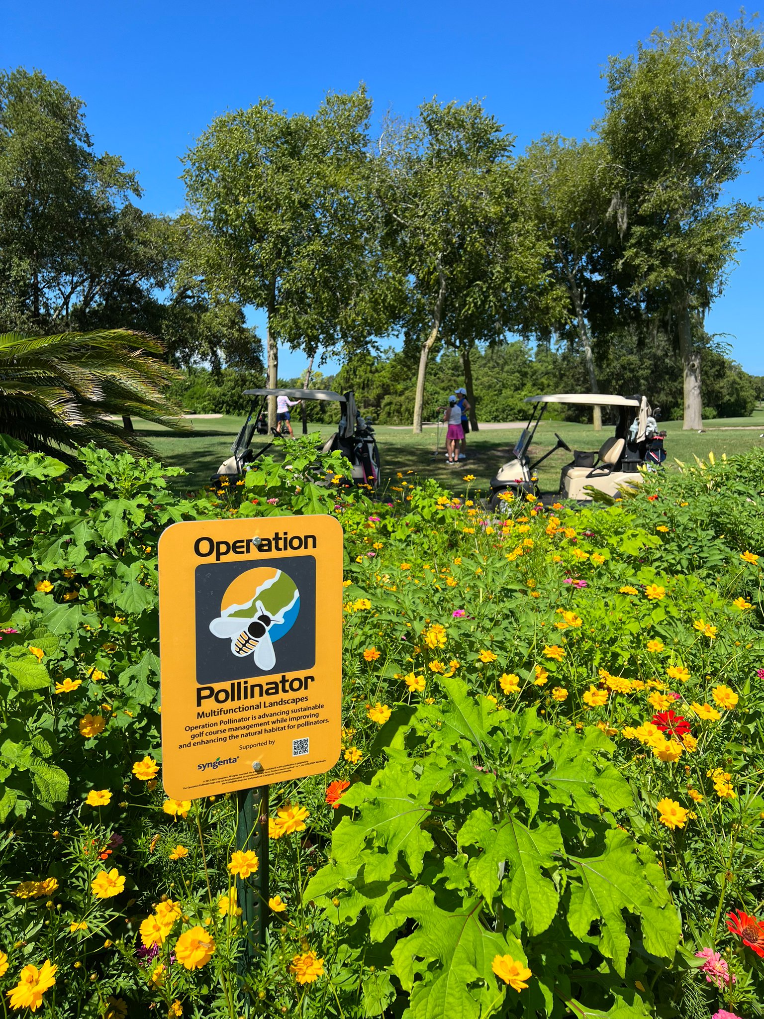 Operation Pollinator: A guide for protecting pollinators | GreenCast ...