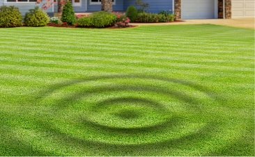 how to make grass gt