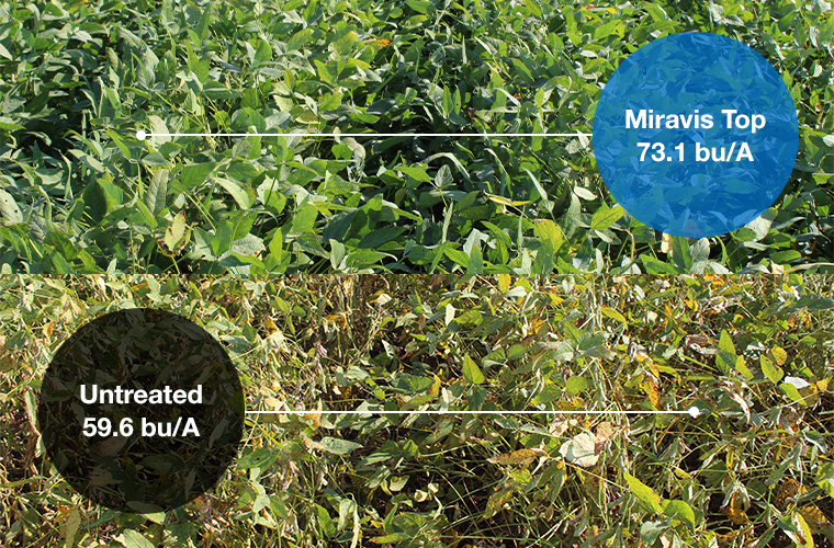 Miravis Neo Fungicide Product Label Information Syngenta US, 49% OFF
