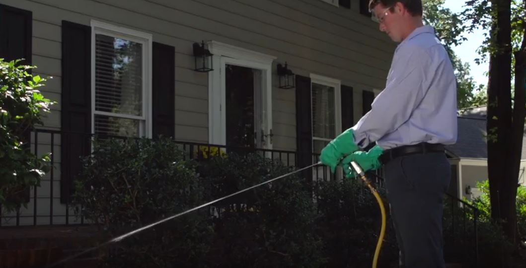 Tandem Insecticide | Professional Pest Management | Syngenta