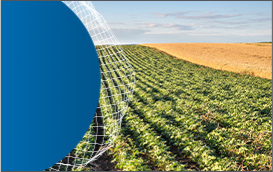 Acuron - Herbicide Product & Label Information | Syngenta US