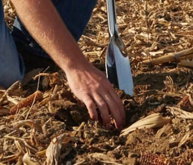 2022 Planting Tips: Planting Depth Matters | Syngenta US
