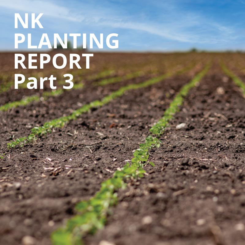 From the Fields: NK Planting Report, Part 3 | Syngenta US