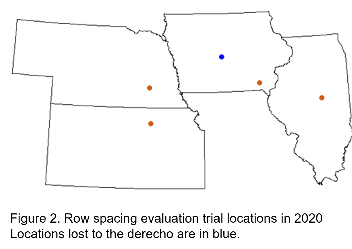 Golden Harvest | Managing Higher Corn Seeding Rates with Narrower Row ...