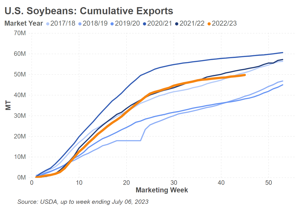 Export perspective: Soybeans Soli... | Syngenta CA