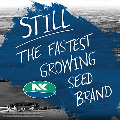 Product Innovation and Higher Yield Potential Are Driving Continued ...