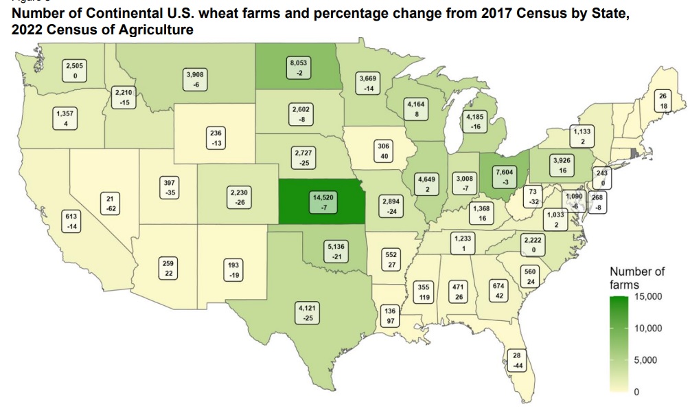 US Wheat Farm Numbers Decline | Syngenta CA